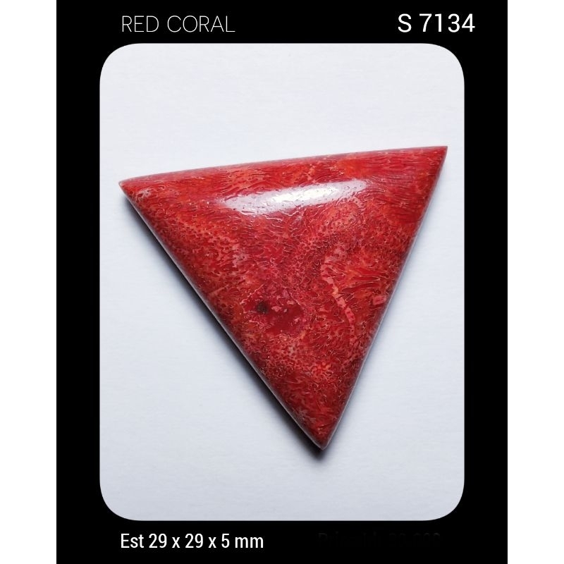 Jual 7134 Batu Red Coral | Shopee Indonesia