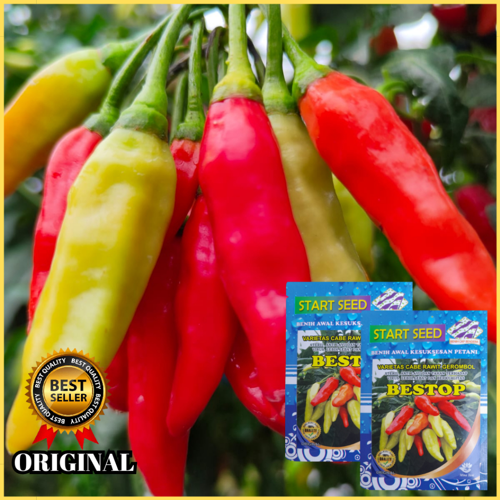 Jual Benih Cabai Rawit Merah 2000 BIji BESTOP Benih Cabe Unggul Ori ...