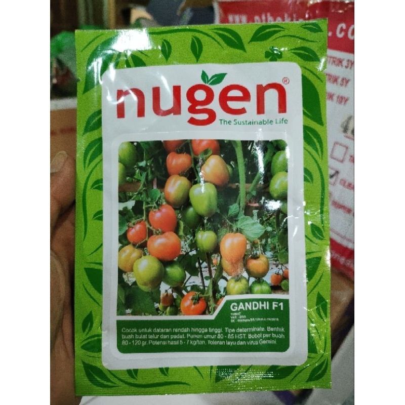 Jual Tomat Gandhi F1 Kemasan 5gr Tahan Virus Original Pabrik NUGEN ...