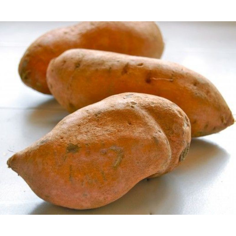 Jual Ubi jalar putih 1 kg Hannah Sweet potato | Shopee Indonesia