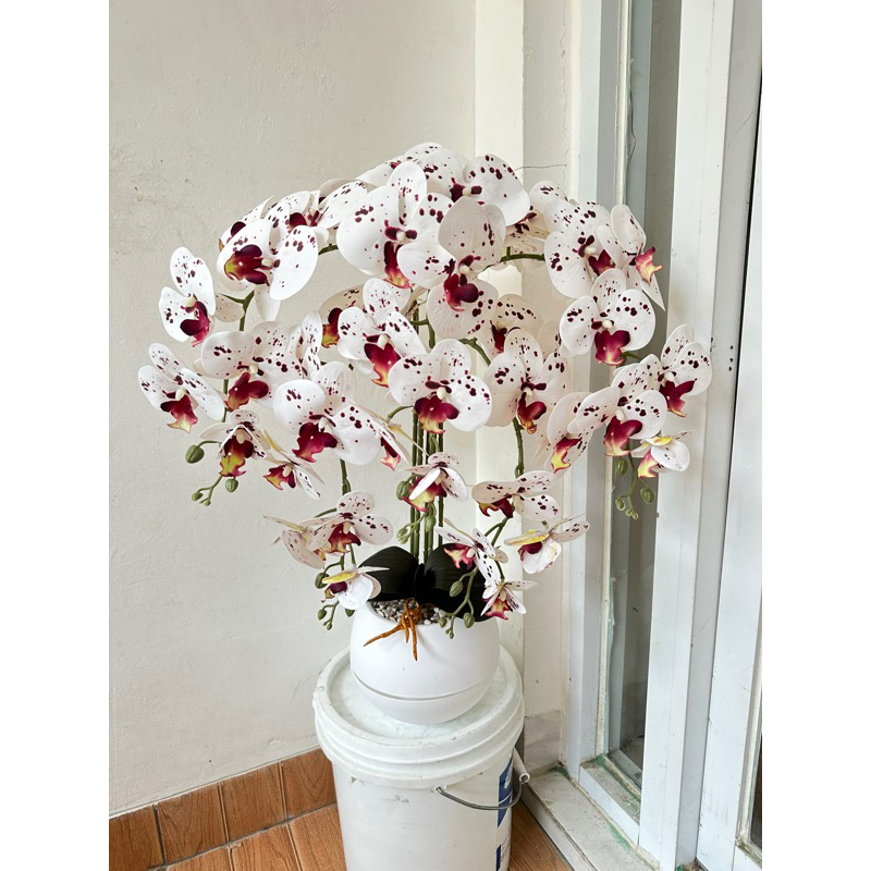 Jual Bunga anggrek cabang 5 super rimbun dengan vas bola | Shopee Indonesia