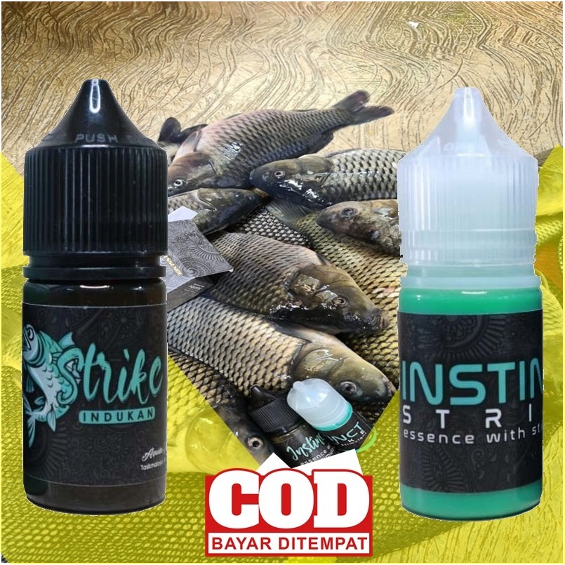 Jual Instinct Strike - Essen Ikan Mas Paling Bagus - Esen Mas Galatama - Essen Mas Harian Kilo ...