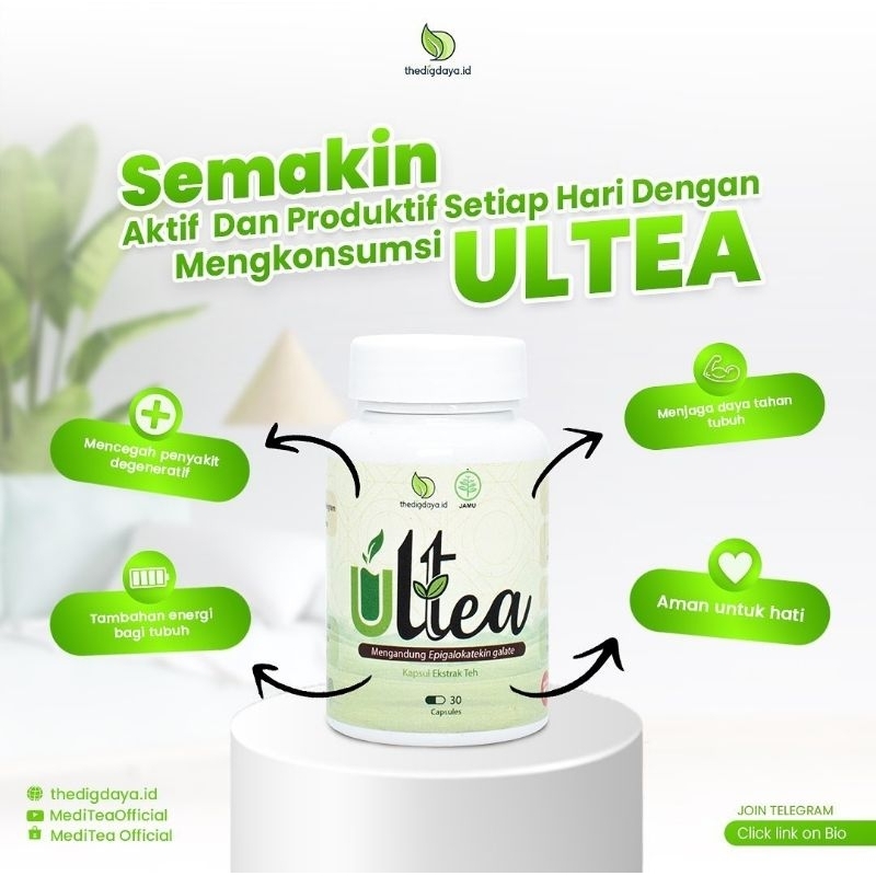 Jual Kapsul Teh Hijau (ULTEA) & Kapsul Ikan Gabus (ALBUNATA) | Shopee ...
