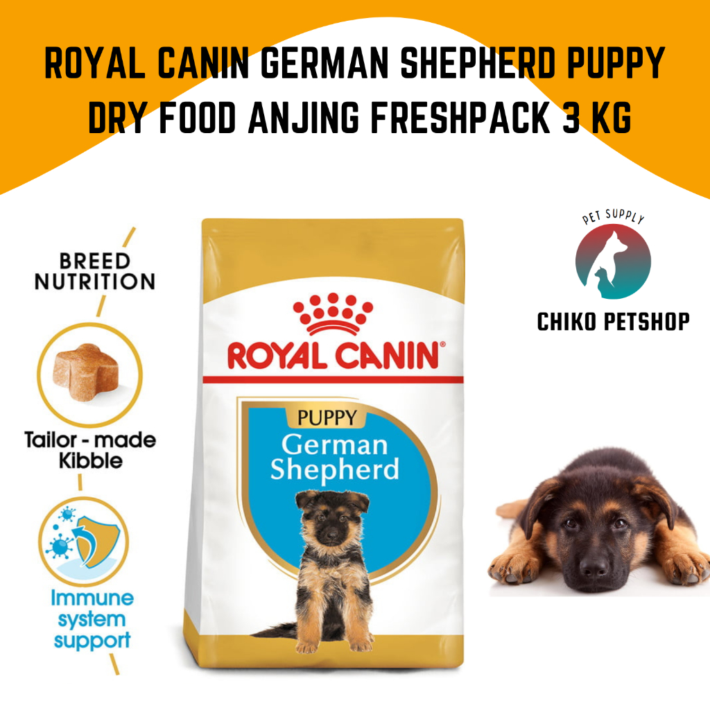Jual Royal Canin German Shepherd Puppy Dryfood 3Kg RC Dog 3 Kg | Shopee ...