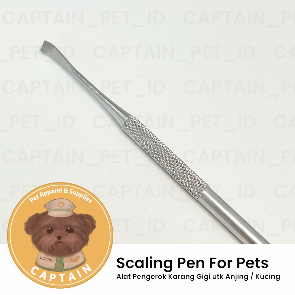 Jual SCALING PEN PENGEROK PEMBERSIH KARANG GIGI ANJING KUCING | Shopee ...
