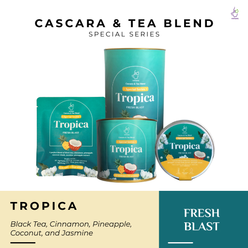 Jual Netisane Tropica (Black Tea, Cinnamon, Pineapple & Coconut ...