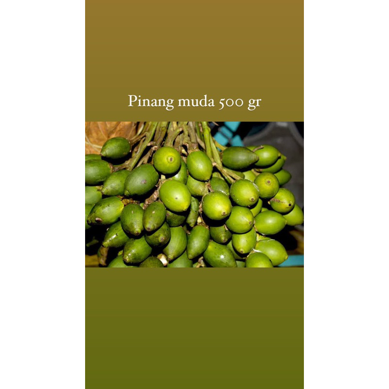 Jual Pinang Muda Fresh / Jambe Muda 500gr | Shopee Indonesia