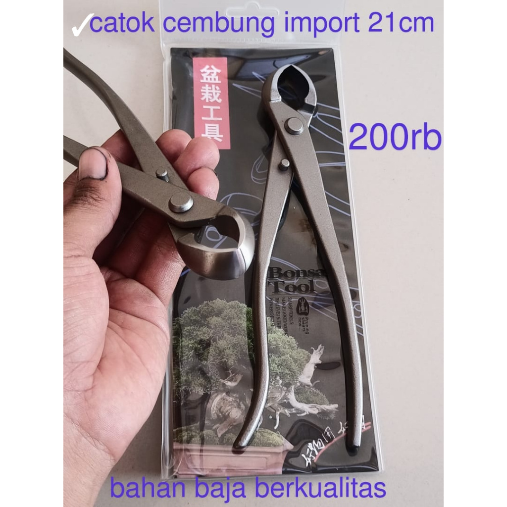 Jual Catok Bonsai cembung 21 cm Catut cembung brand Miswan original ...