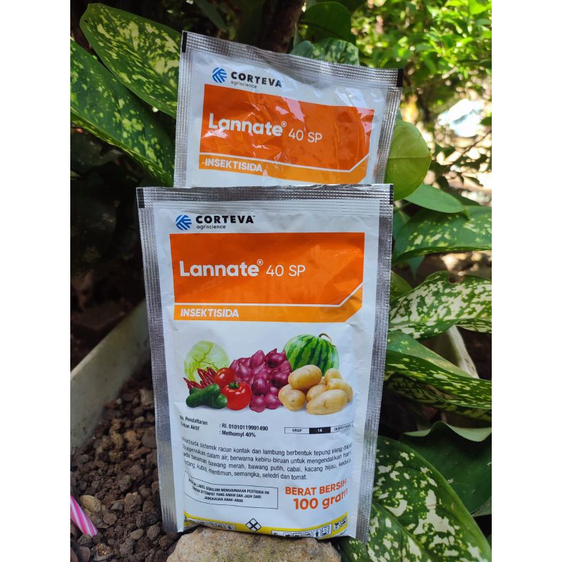 Jual insektisida LANNATE 40 SP 100 GRAM | Shopee Indonesia
