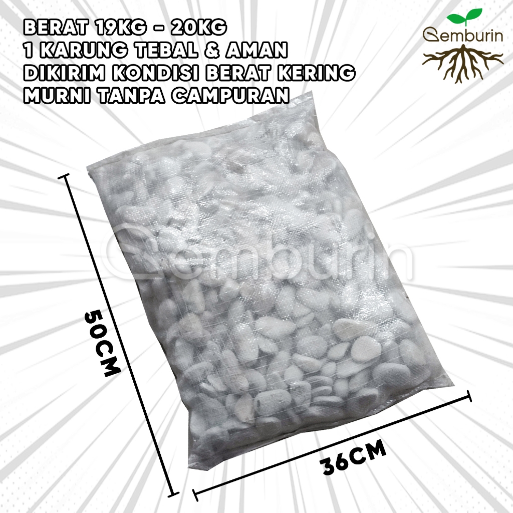 Jual Batu Koral Putih 19-20 Kg SEDANG KARUNGAN / Batu Putih Kupang Hias ...