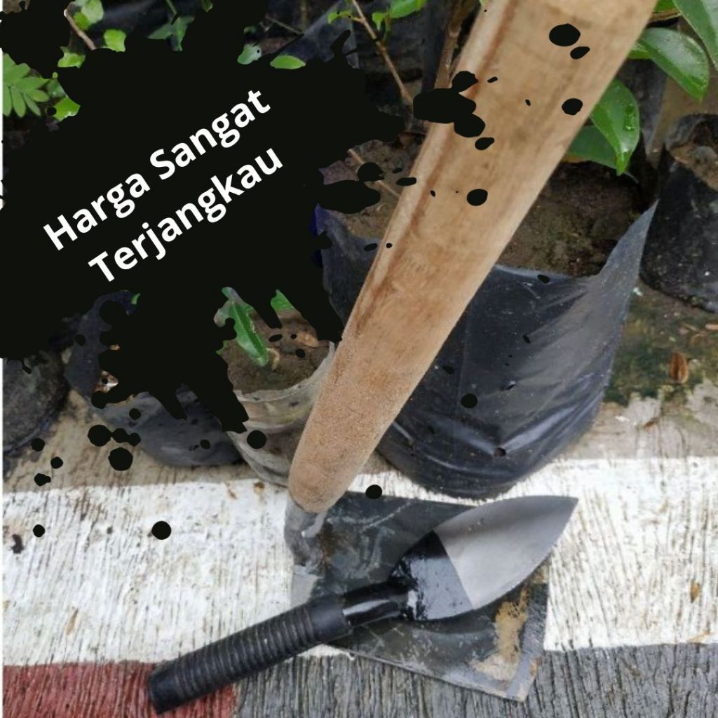 Jual PACUL DAN CETOK PAKET PERALATAN TANAMAN | Shopee Indonesia