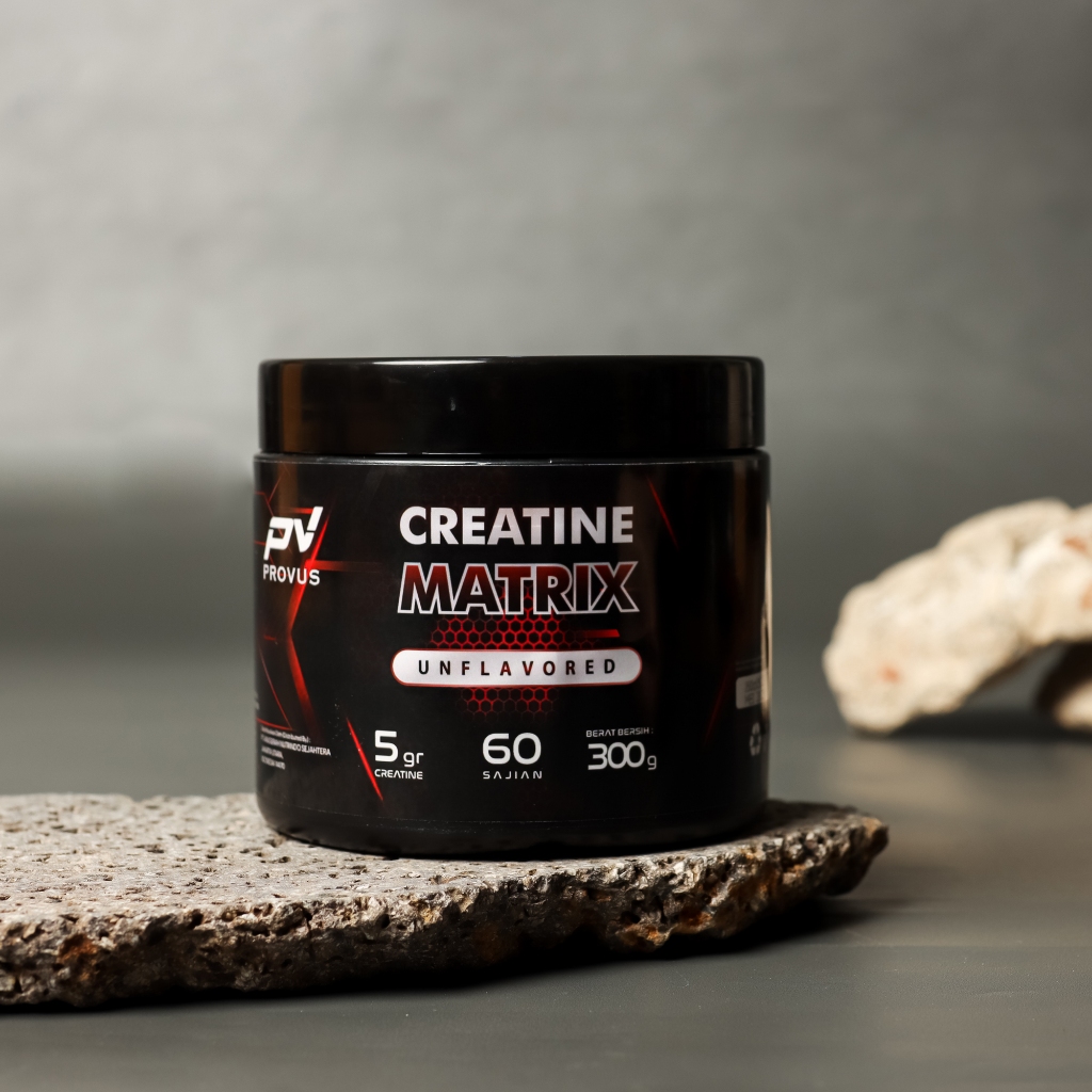 Jual PV PROVUS CREATINE MATRIX 300g GRAM 60 SERVING | Shopee Indonesia