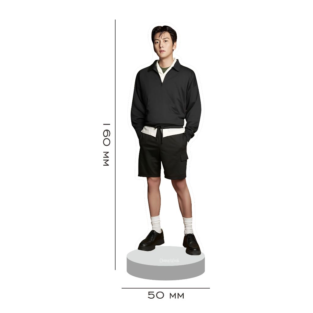 Jual Standee Figure Akrilik Actor Korea Ji Chang wook Jichangwook ...