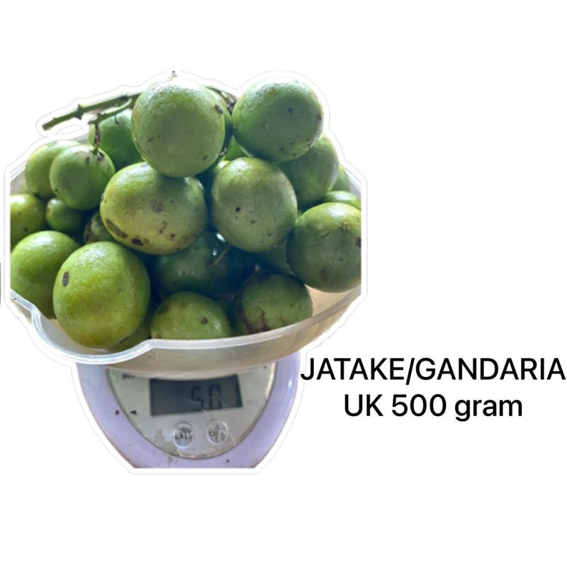 Jual BUAH JATAKE/GANDARIA TERMURAAH | Shopee Indonesia