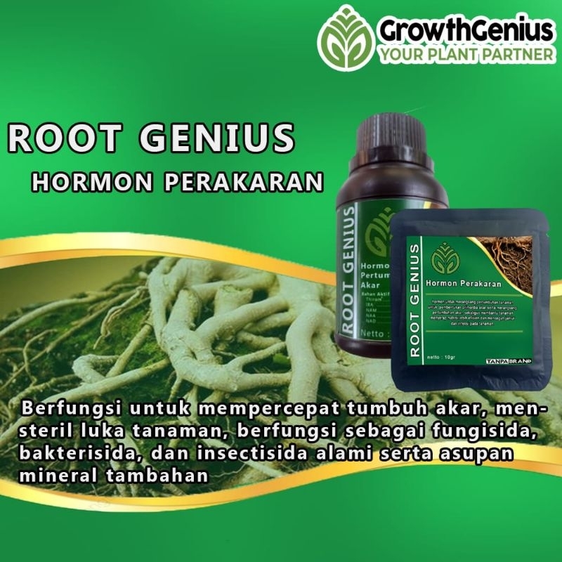 Jual root genius (pupuk akar) | Shopee Indonesia