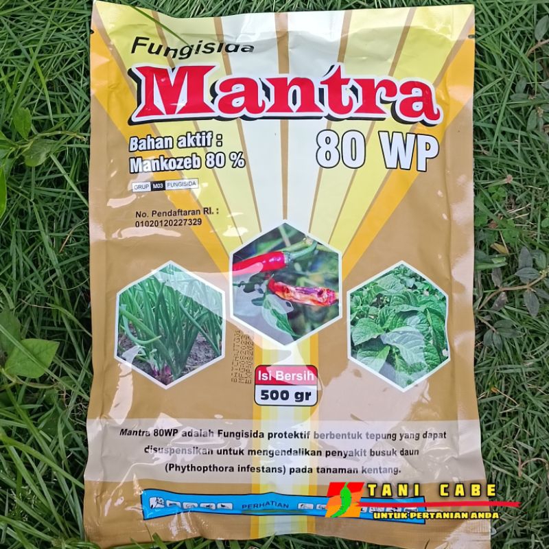 Jual FUNGISIDA MANTRA MANCOZEB KUNING 500 GRAM | Shopee Indonesia