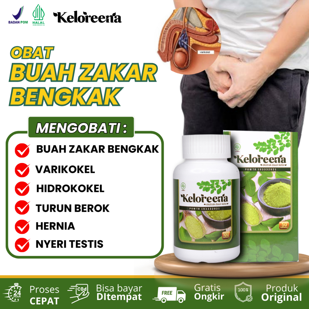 Jual Obat Benjolan di Buah Zakar, Obat Varikokel dan Hidrokel, Obat ... Jual Obat Benjolan di Buah Zakar, Obat Varikokel dan Hidrokel, Obat ...