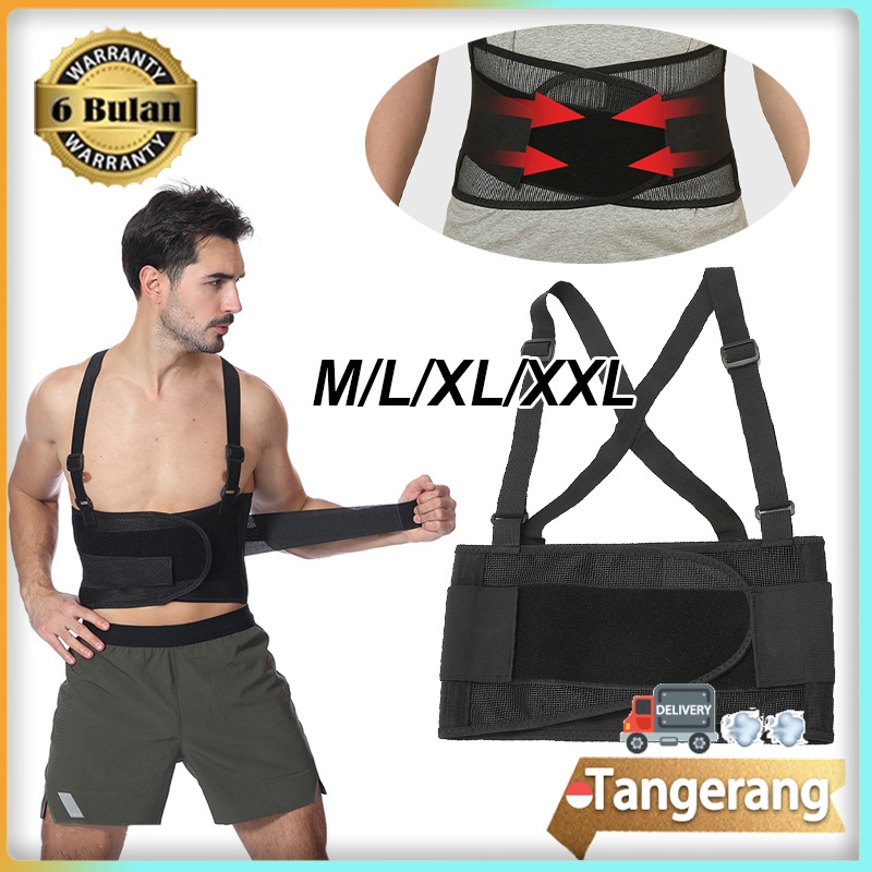 Jual Back Support Belt / Sabuk Penyangga Punggung dan Pinggang | Shopee Indonesia