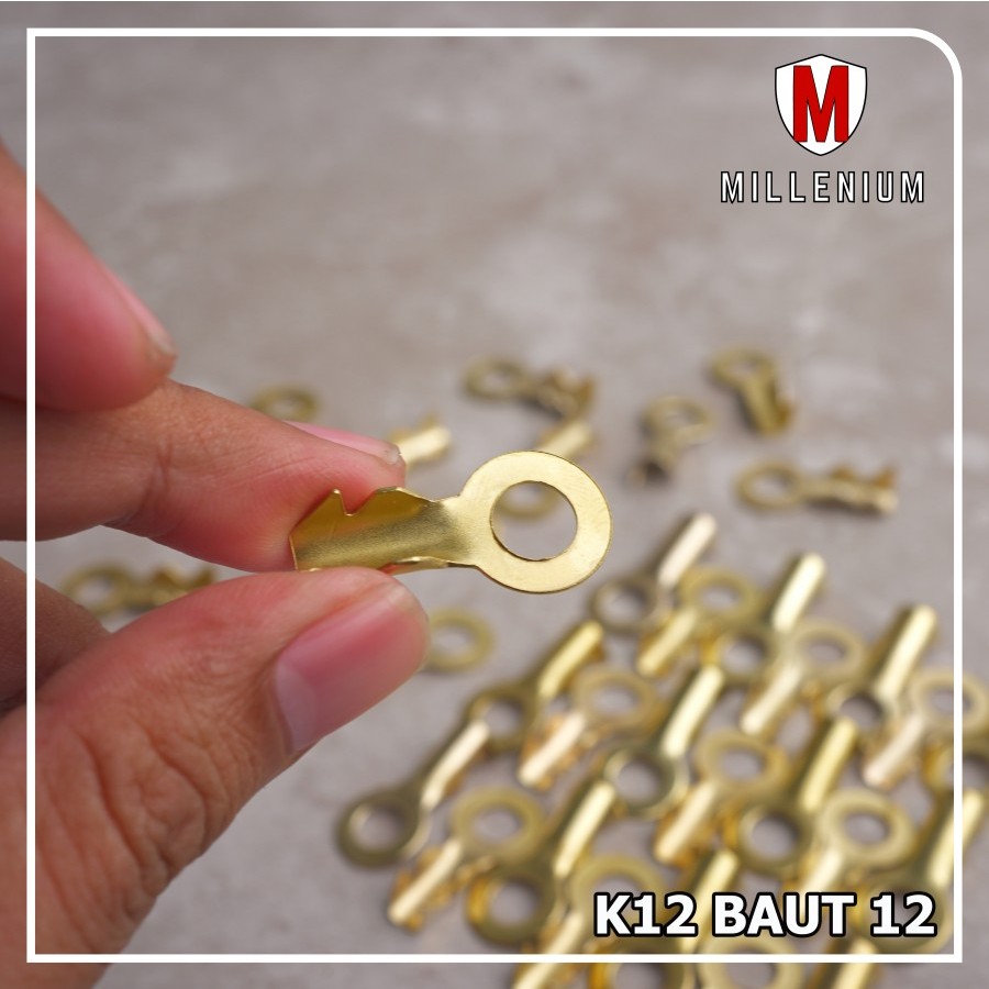 Jual Terminal Skun Ring Bulat | Skun Baut 12 | Skun Aki M8 | Konektor ...