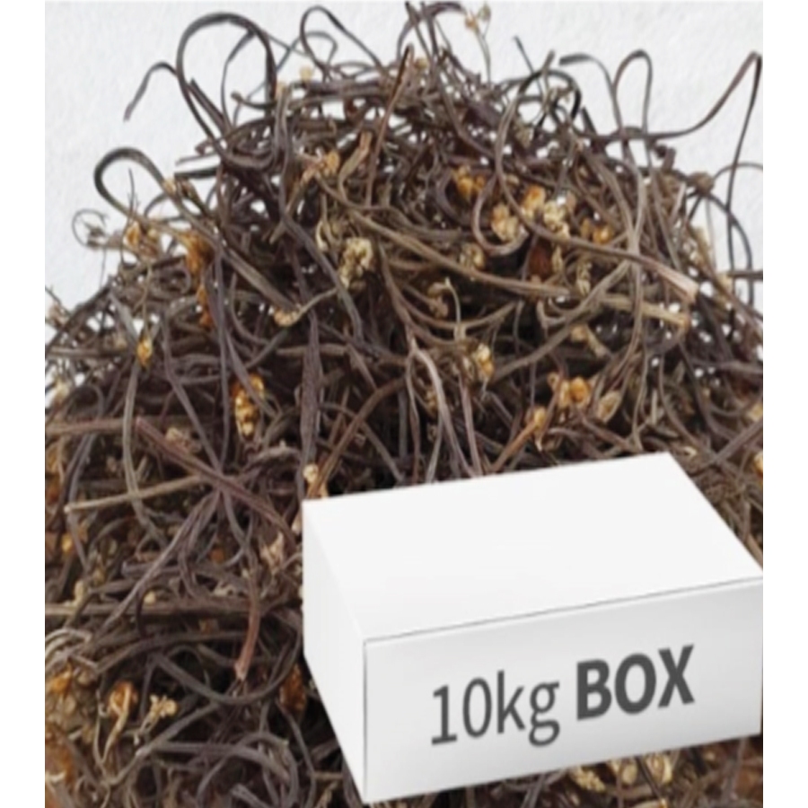 Jual Pakis Gosari 10kg | Shopee Indonesia