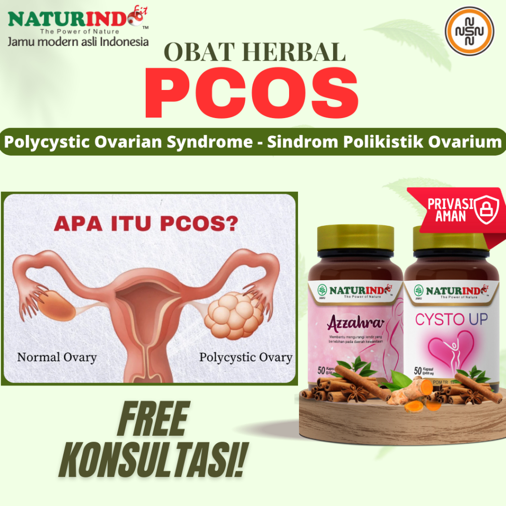 Jual Obat Herbal Pcos Polycystic Ovarian Syndrome Sindrom Polikistik