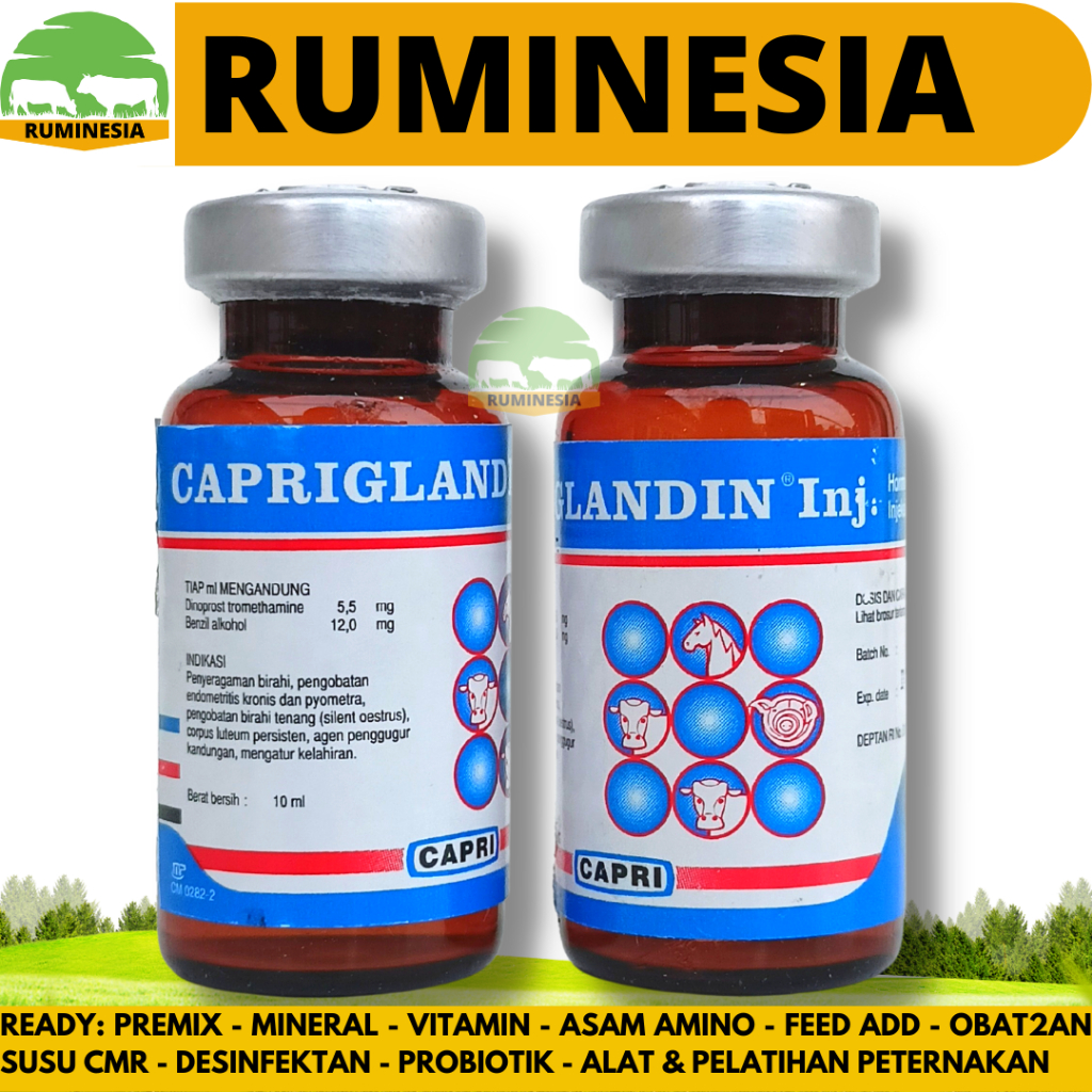 Jual CAPRIGLANDIN INJ 10 ml - Hormon Sinkronisasi Estrus Sapi Kambing ...