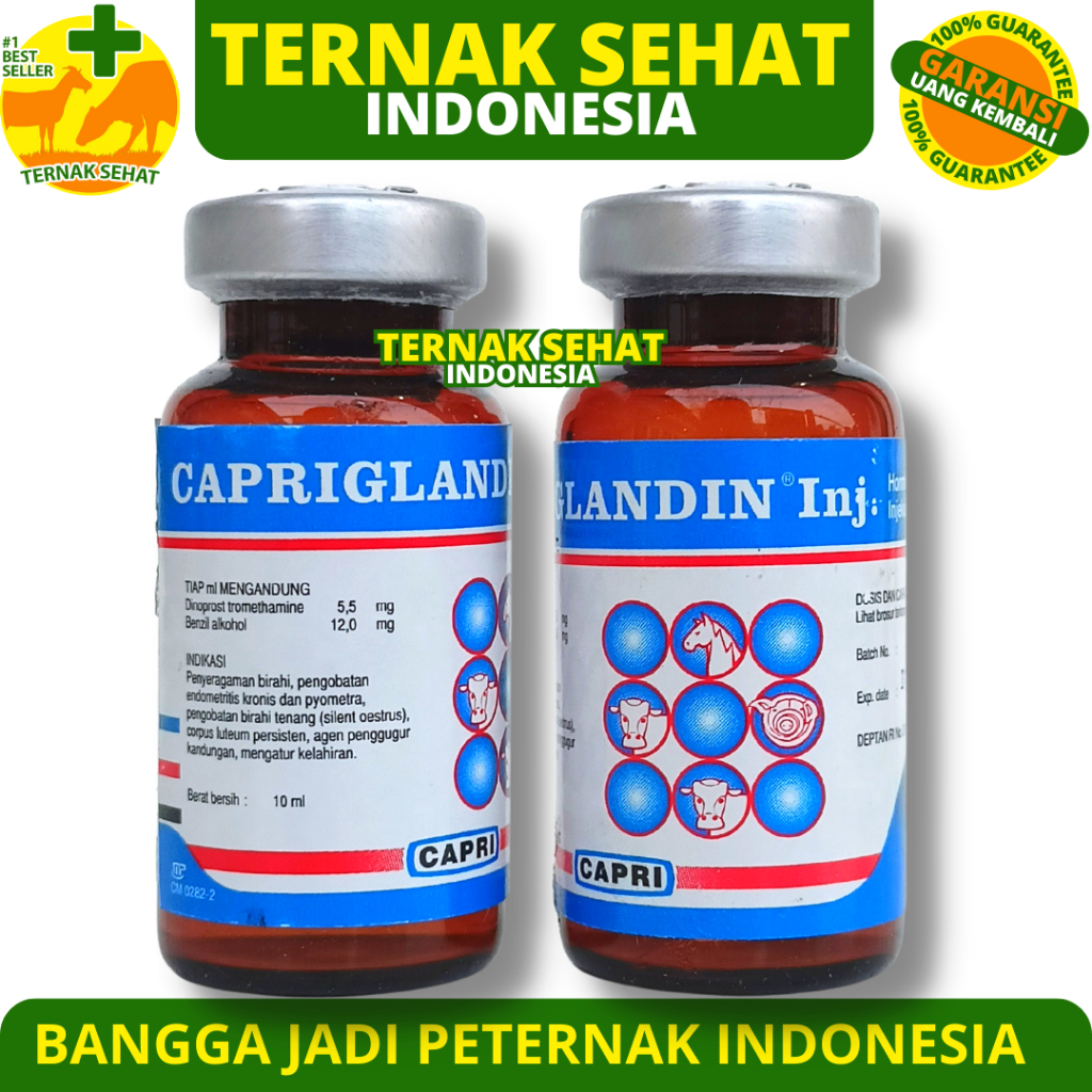 Jual CAPRIGLANDIN INJ 10 ml - Hormon Sinkronisasi Estrus Sapi Kambing ...