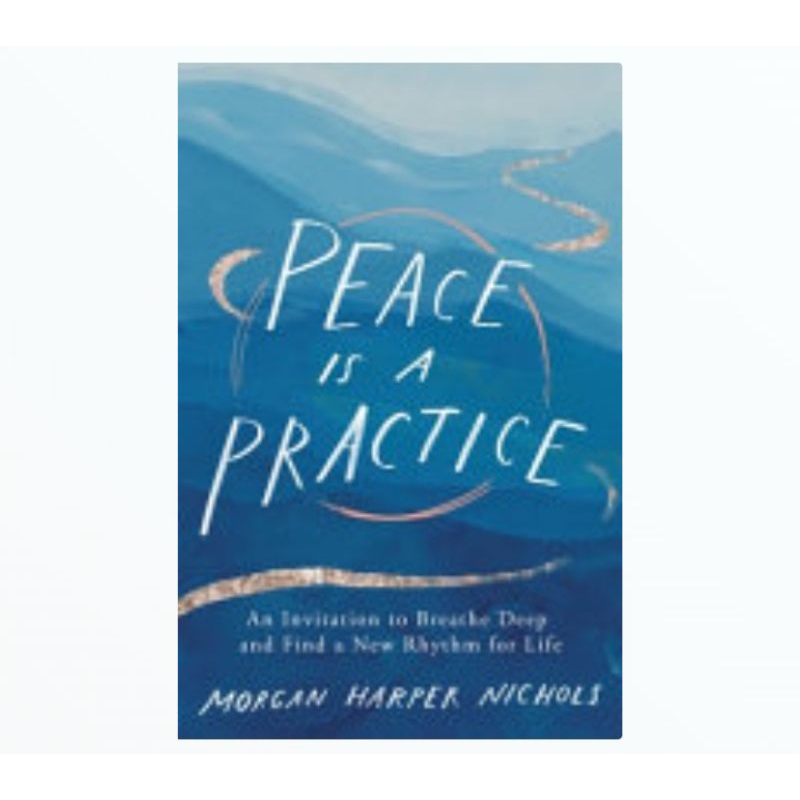 Jual BUKU PEACE IN A PRACTICE | Shopee Indonesia