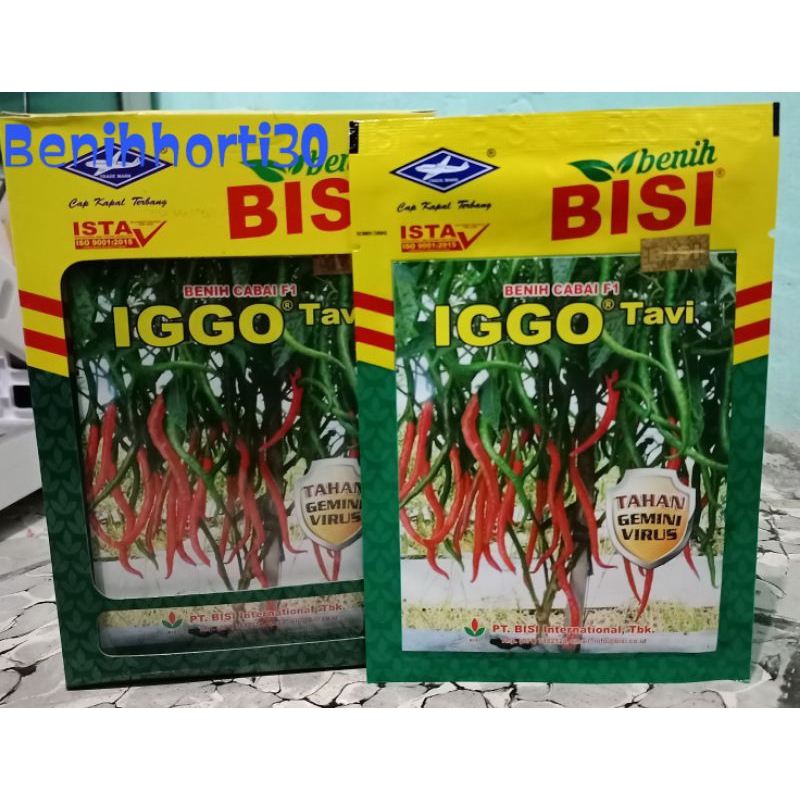 Jual Benih Cabe Merah Keriting Iggo Tavi isi 10 gram | Shopee Indonesia
