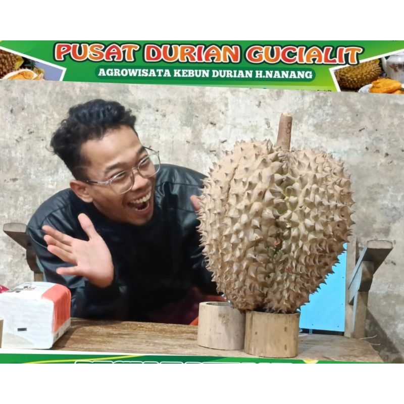 Jual DURIAN Montong Kani Khas lumajang Bobot 4 kg Sampai 8 Kg | Shopee Indonesia