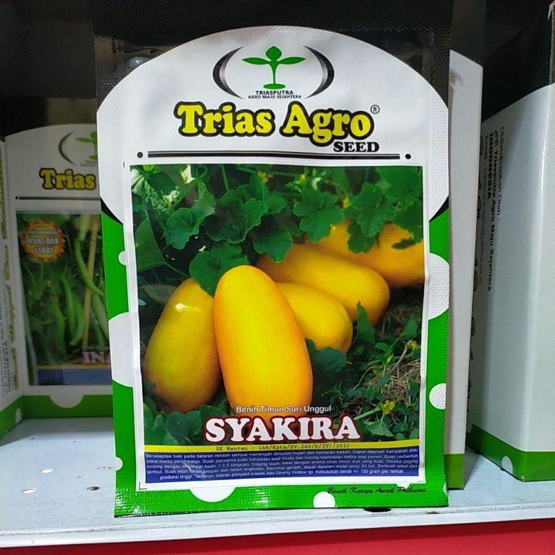 Jual Benih Bibit Timun Suri SYAKIRA || Bibit Timun Suri kuning || Timun Suri || Biji Timun Suri ...