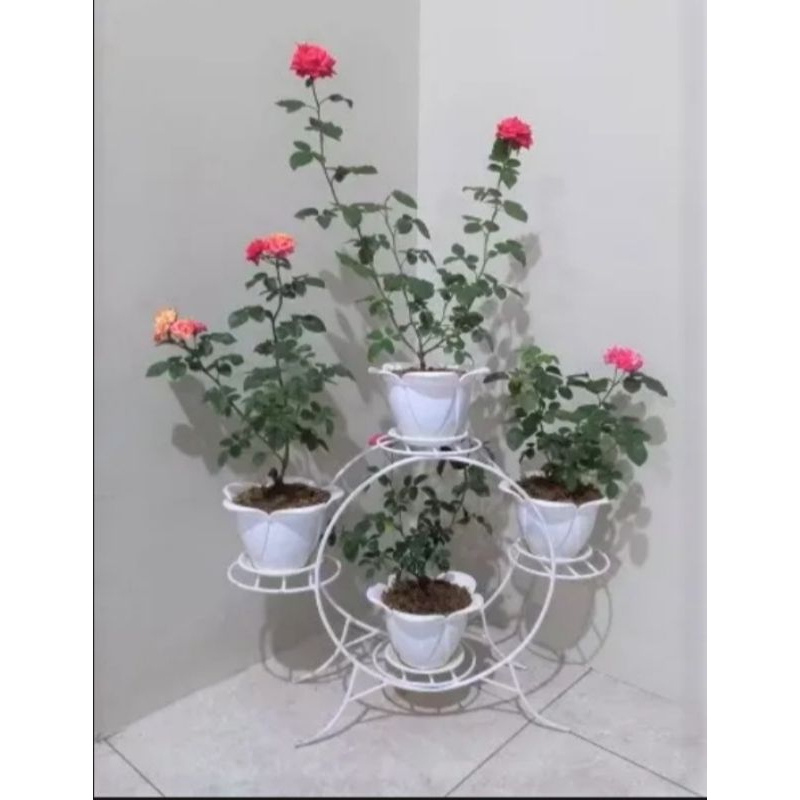 Jual rak pot tanaman 4 tingkat model bulat | Shopee Indonesia