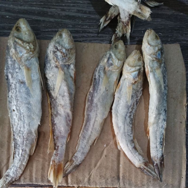 Jual Ikan Asin Samge Kepala Batu 250gram / Gulama Bagan Ikan kering ...