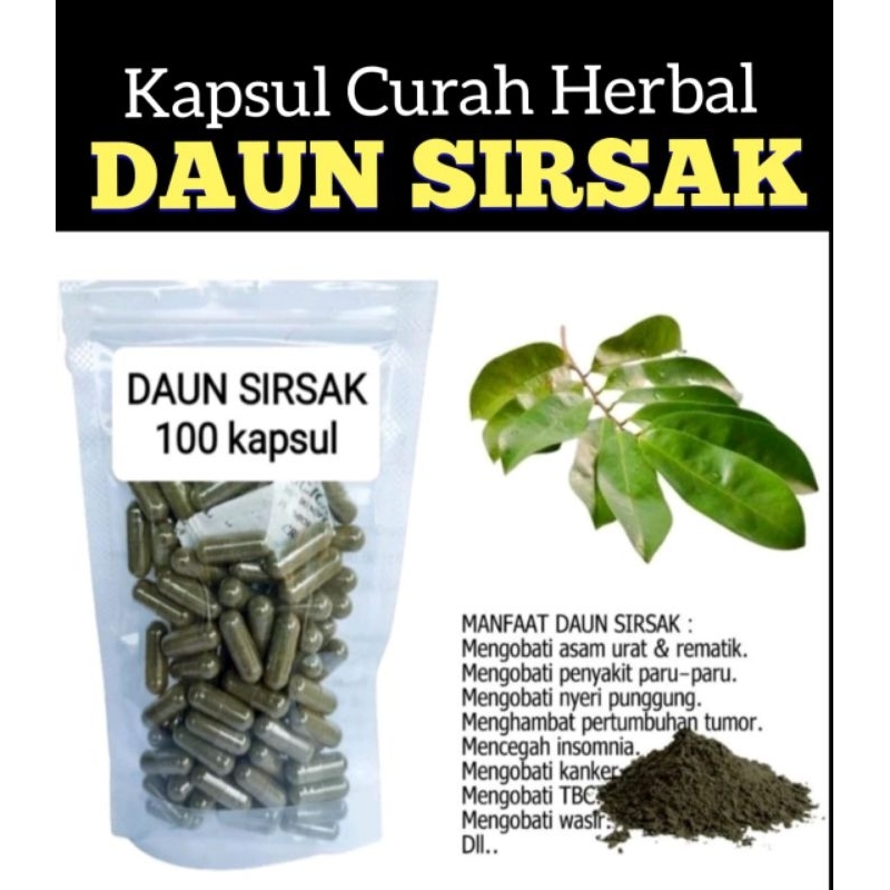 Jual DAUN SIRSAK 100 kapsul Curah Herbal | Shopee Indonesia