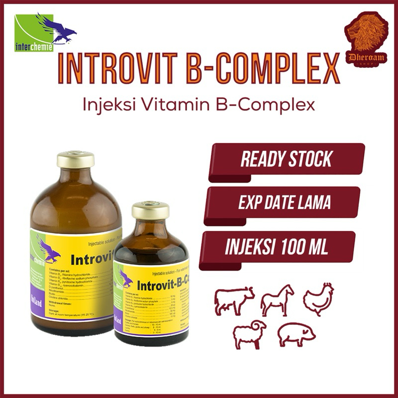 Jual INTROVIT B COMPLEX / INJEKSI B KOMPLEK / VITAMIN HEWAN TERNAK SAPI ...