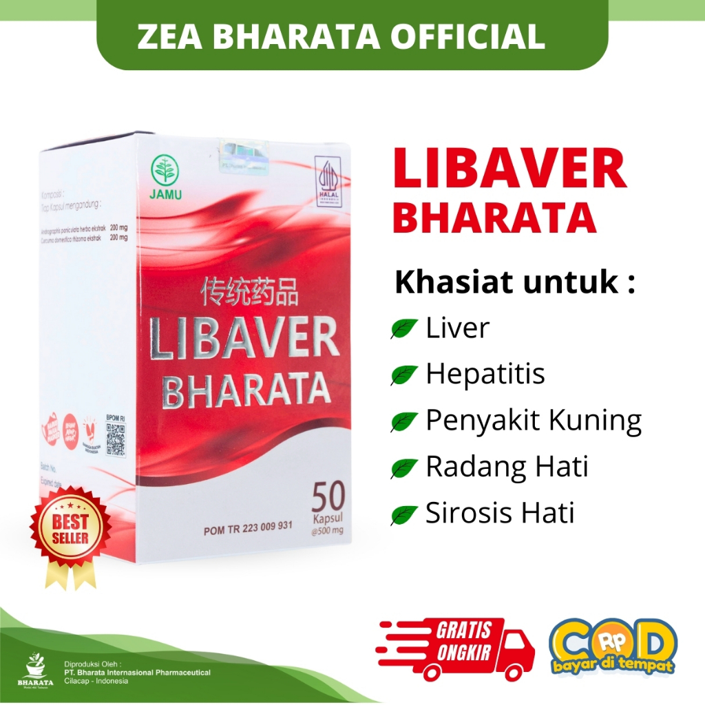 Jual Obat Herbal Liver - Sirosis Hati - Hepatitis ABCDE - Penyakit ...