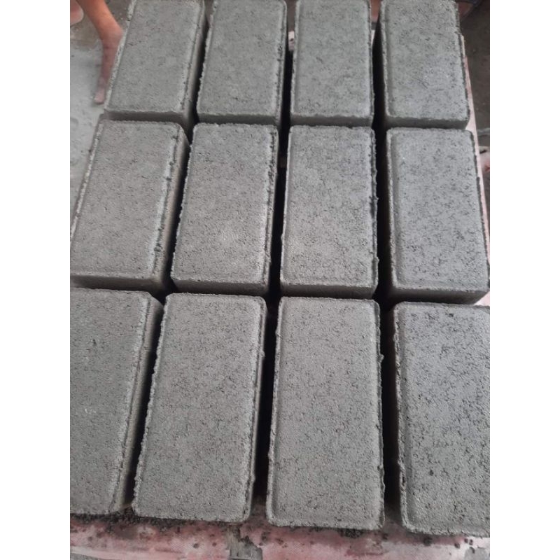 Jual Paving Blok Bata press /paving bata model cacing | Shopee Indonesia