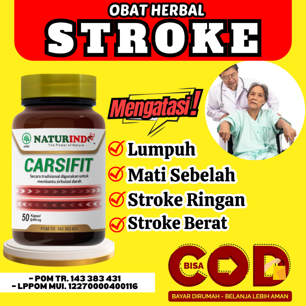 Jual Obat Stroke Bells Palsy Pasca Stroke Lumpuh Mati Sebelah Herbal ...