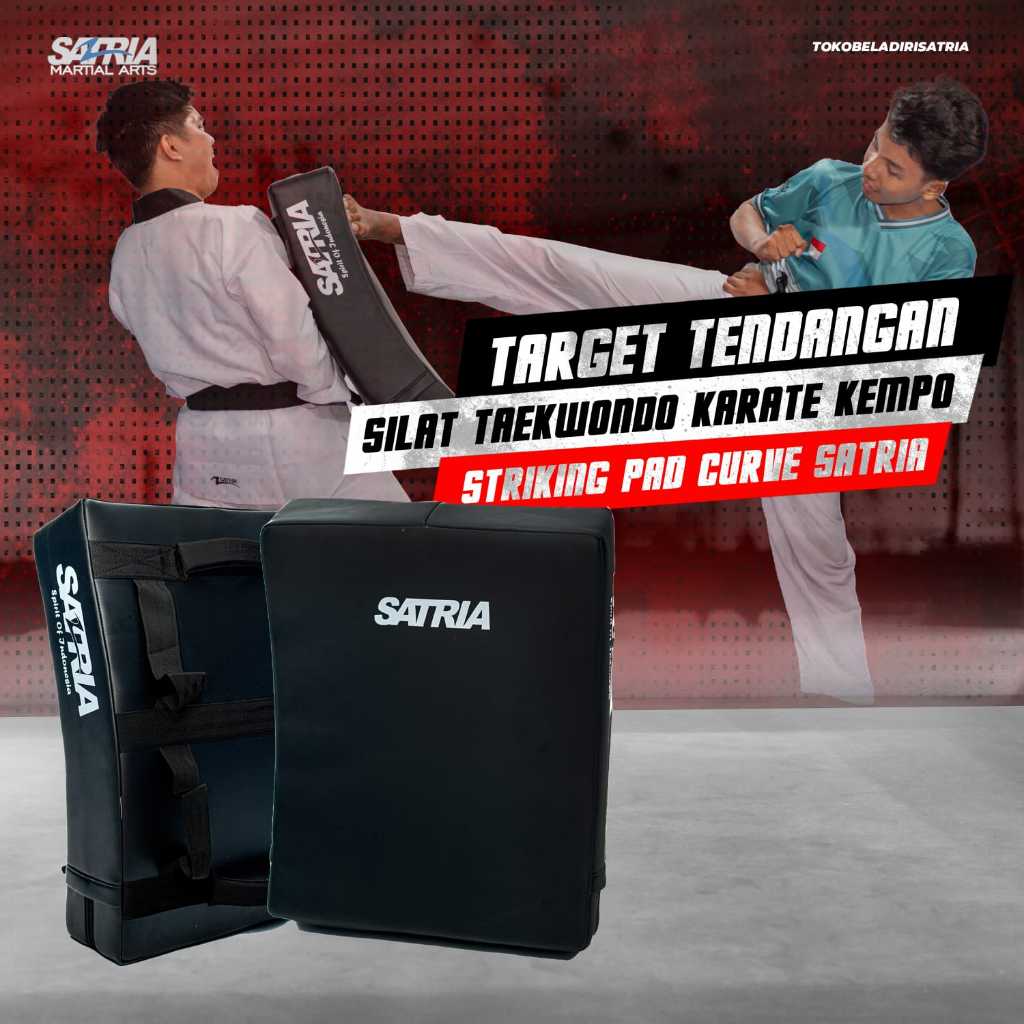 Jual TARGET BOX TENDANGAN TAEKWONDO KARATE SILAT KEMPO STRIKING PAD ...