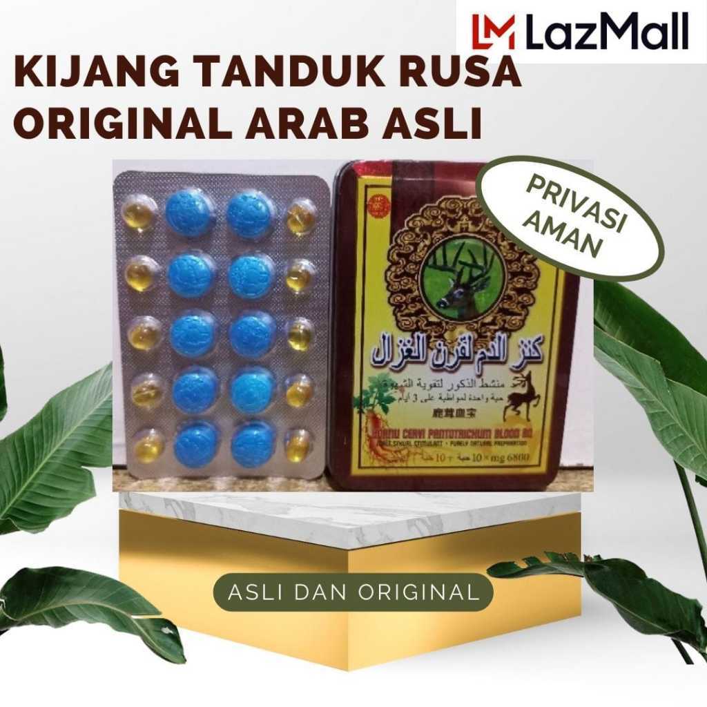Jual Kijang Tanduk Rusa Original Arab Asli | Shopee Indonesia