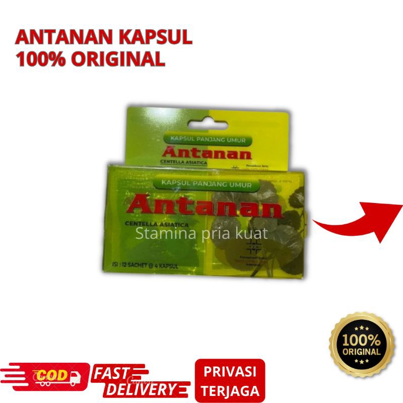 Jual antanan kapsul original 100% | Shopee Indonesia