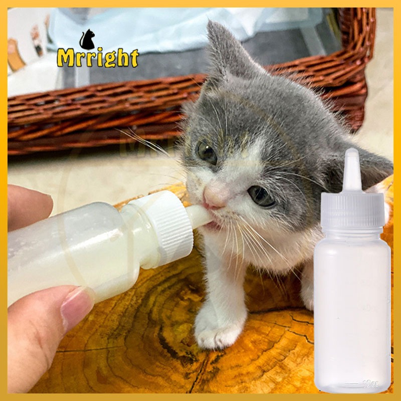 Jual Dot kucing botol kucing dot 60ml peralatan air minum anak kucing ...
