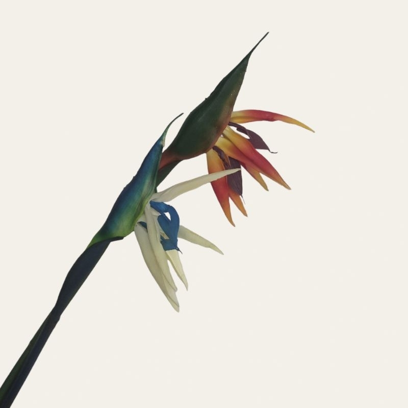 Jual NatanshoP - Premium Artificial Flower sladko strelitzia bunga ...