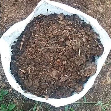 Jual pupuk/media tanam kotoran sapi (kohe) kering murni/karung | Shopee ...