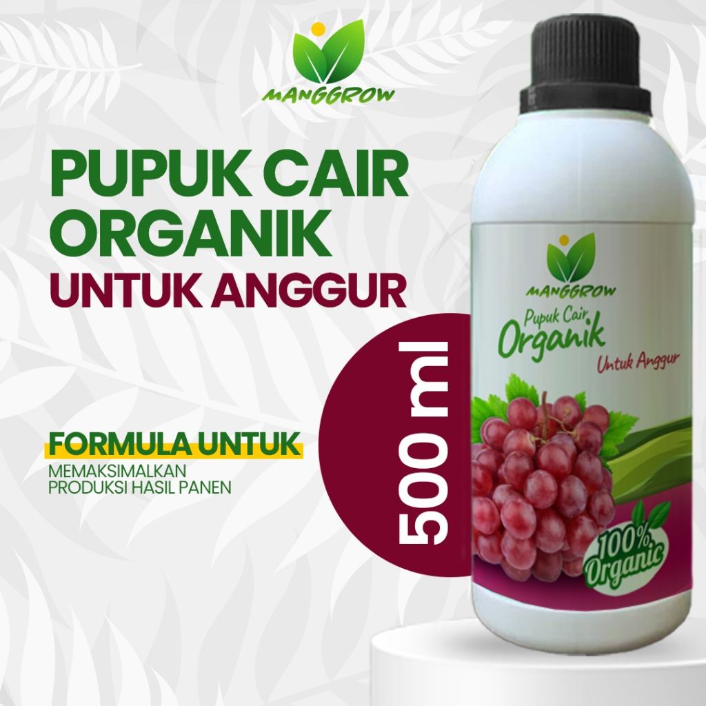 Jual MANGGROW - Pupuk Organik Cair Anggur 500ml | Nutrisi Tanaman Anggur & POC Anggur Cepat ...