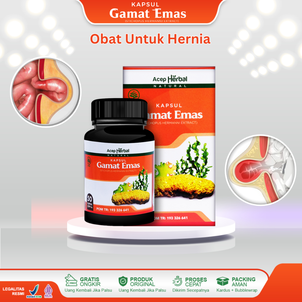 Jual Obat Hernia Turun Berok Usus Turun Benjolan Di Atas Pusar Benjolan ...