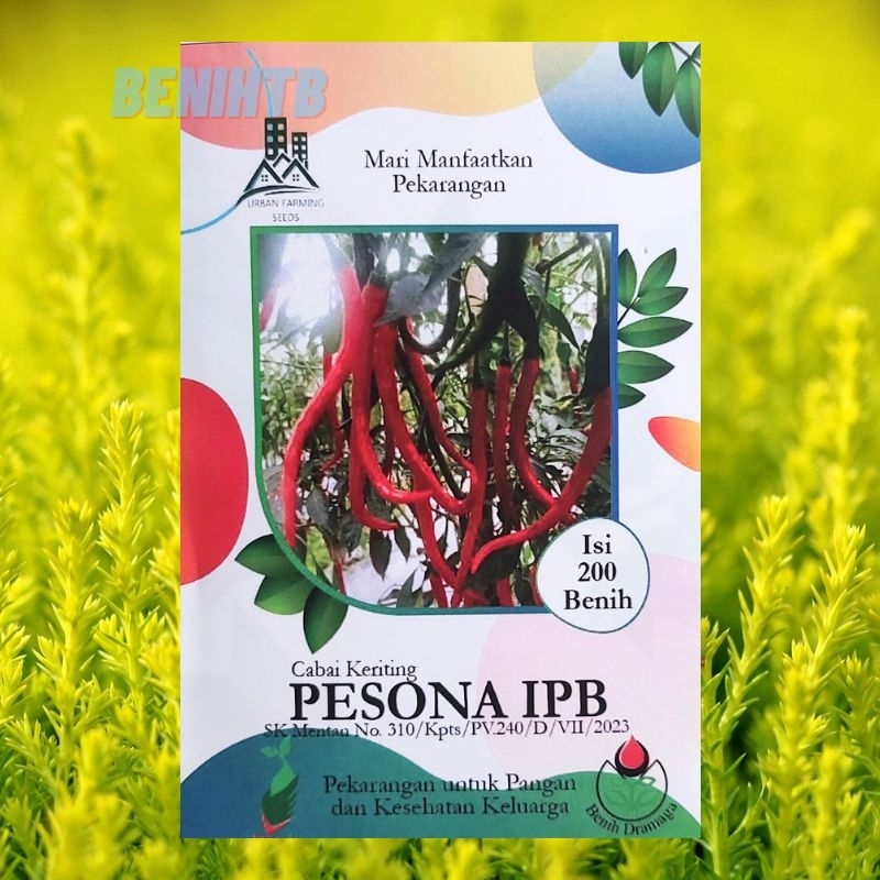 Jual Benih Bibit Cabai Keriting Pesona IPB isi 200 biji cabe | Shopee ...