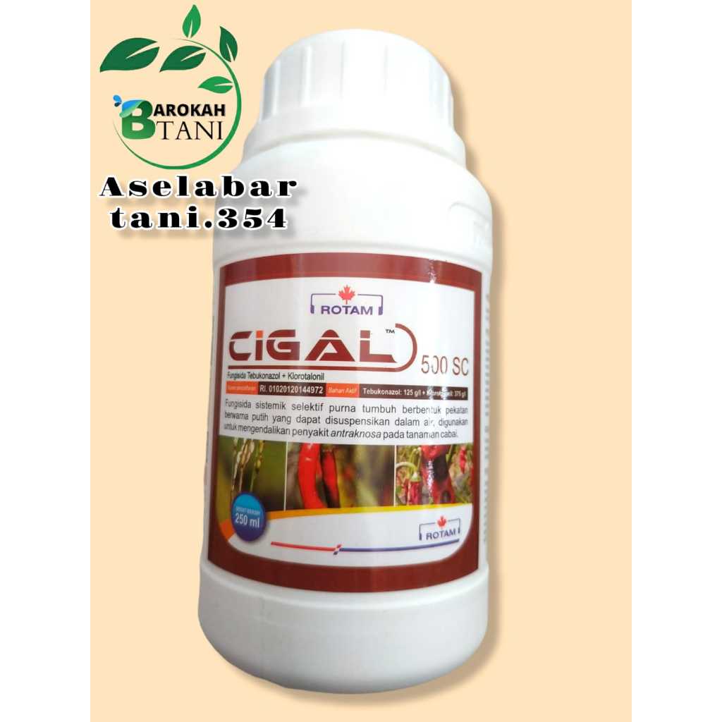 Jual FUNGISIDA CIGAL 500 SC - 250ml - TEBUKONAZOL 500g/l | Shopee Indonesia