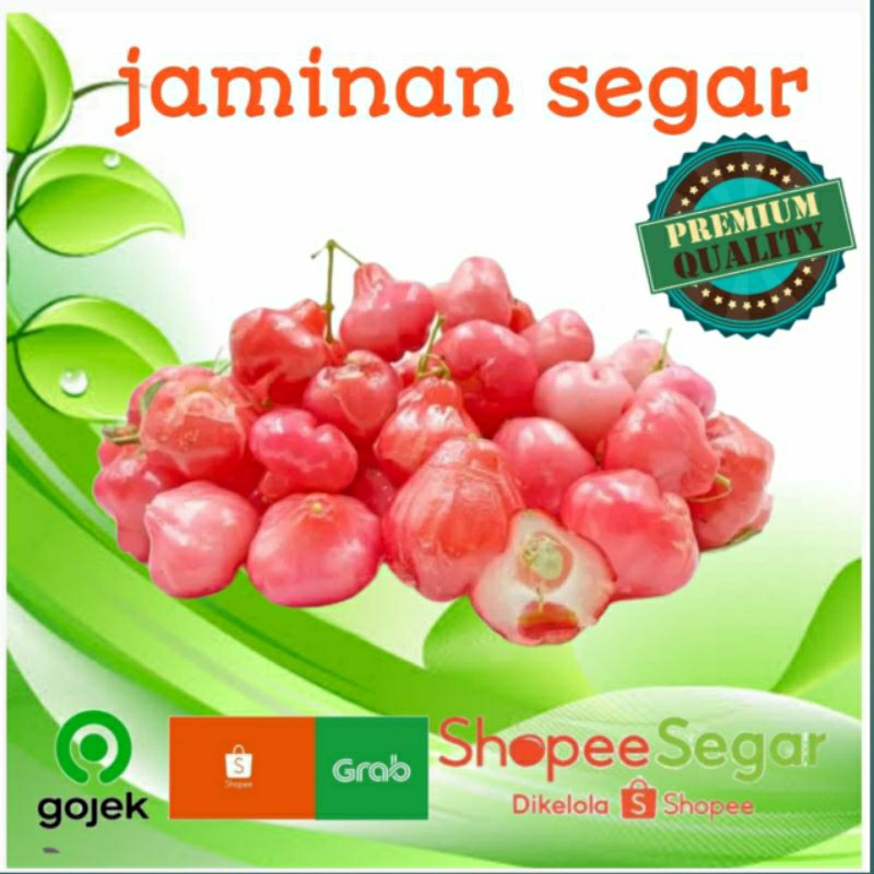 Jual JAMBU MERAH RUJAK 500g | Shopee Indonesia