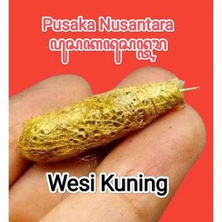 Jual wesi kuning asli Harga Terbaik & Termurah Juni 2024 | Shopee Indonesia